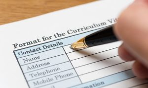 Resume Format for Freshers: Writing guide, Tips, Samples